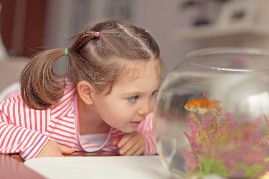 Here are the best pets for kids according to a vet - Moshi