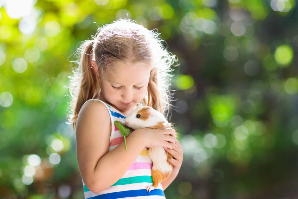 Here are the best pets for kids according to a vet - Moshi