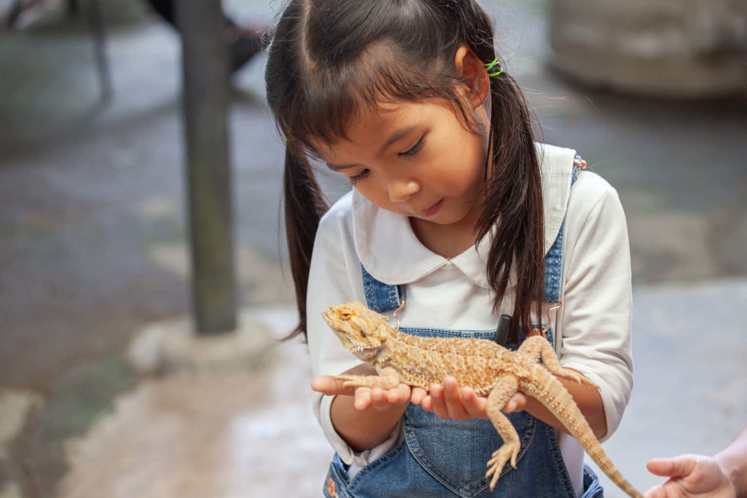 Here are the best pets for kids according to a vet - Moshi